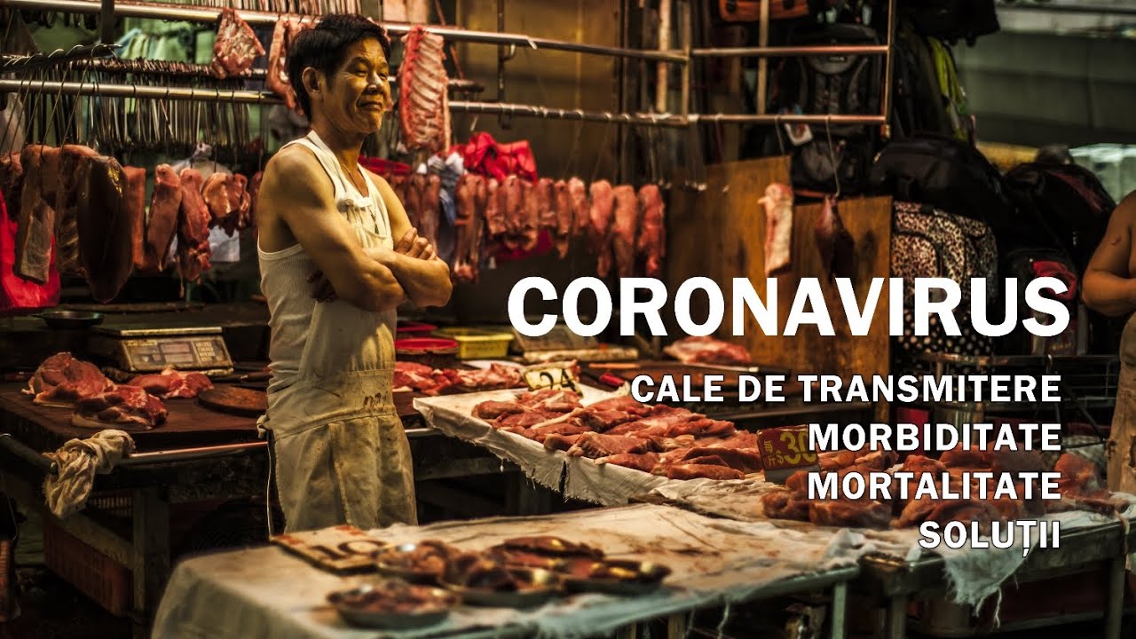 CORONAVIRUS: cum se transmite, morbiditate, mortalitate si solutii ...