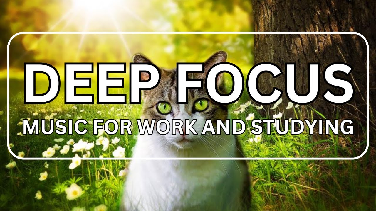 Focus Music for Work & Study - Background Music, Listen While Studying ...