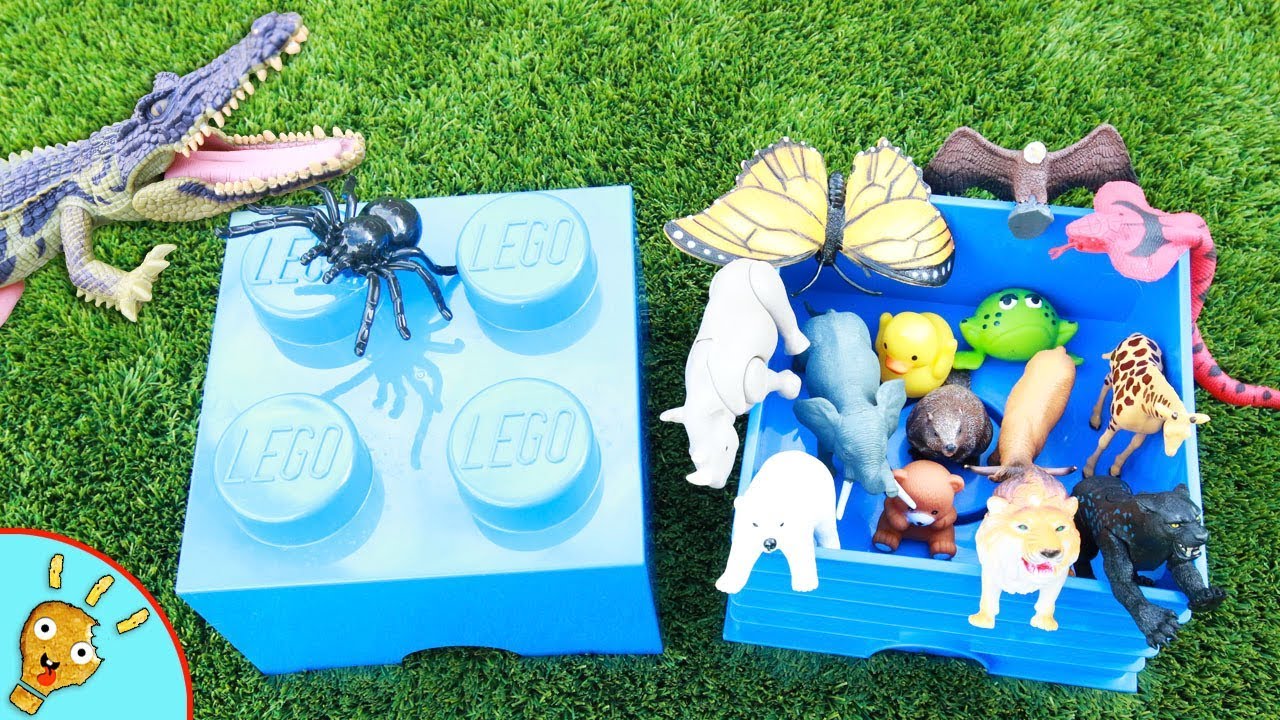 Learn FUN Animals in Huge LEGO with Squishee Nugget! - YouTube