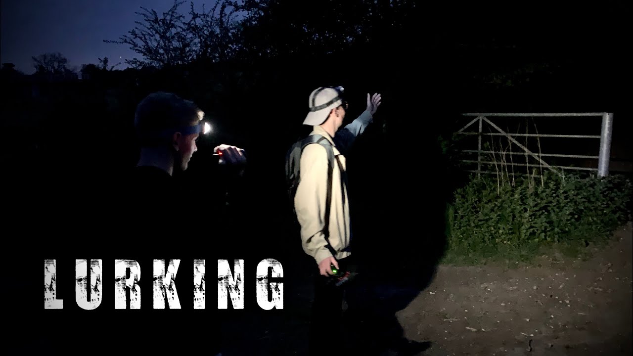 Lurking - Official Trailer (Horror Movie) - YouTube