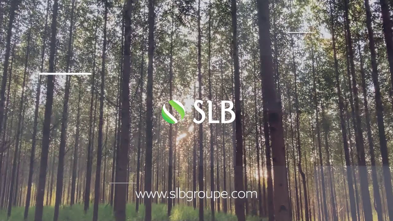 SLB Group Brazil (ENG) - YouTube