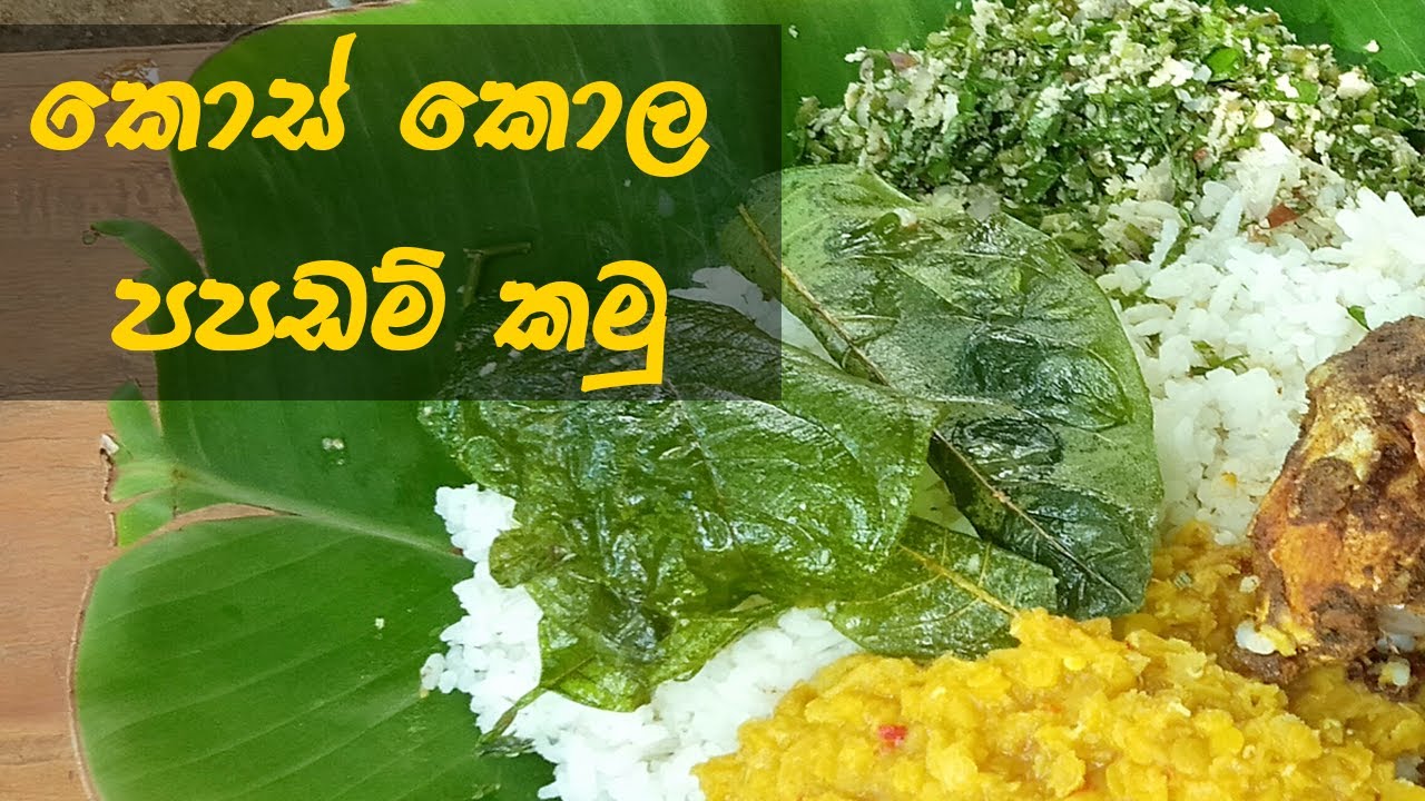 Paraw Fish Curry | Jack Fruit Leaves Papadum & Rice | Village Secret ...