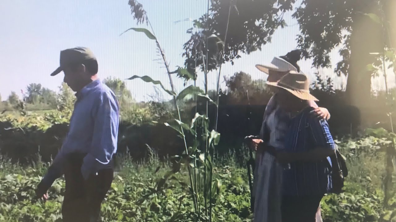 AGAPE HMONG GARDEN IN MINNESOTA 2022: Special Thanks To Agape Hmong ...