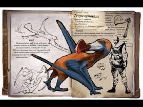 Tuto sur le tropeognathus. Ark - YouTube