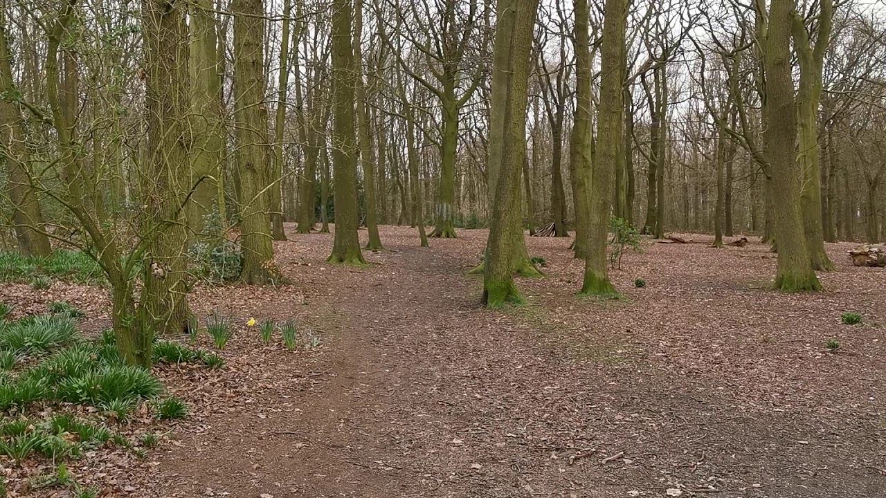 Huawei P30 Pro Sample Video (Day Time)