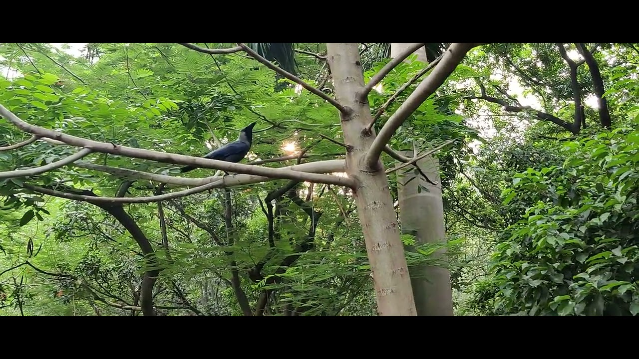 Shab Uddin Park in Dhaka - YouTube