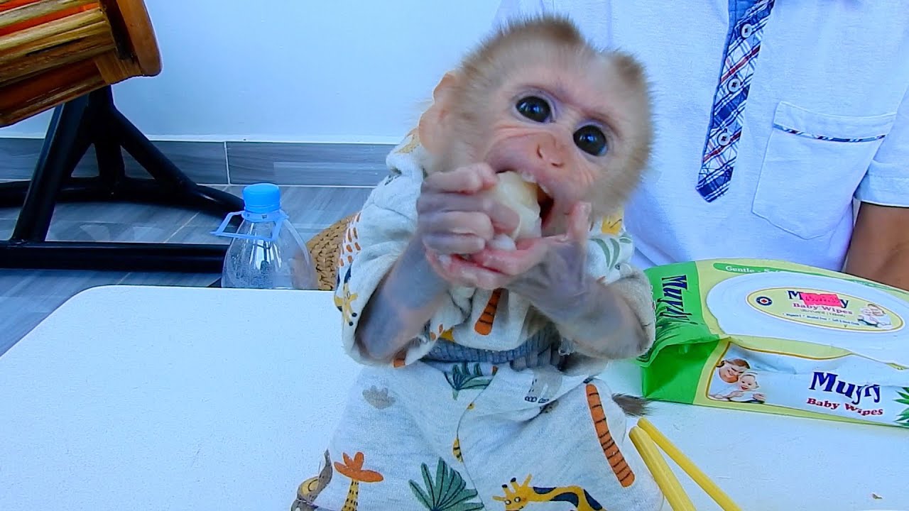 Lil Foodie JULIE Very Busy In Speedily Munching Yummy Cake. - YouTube