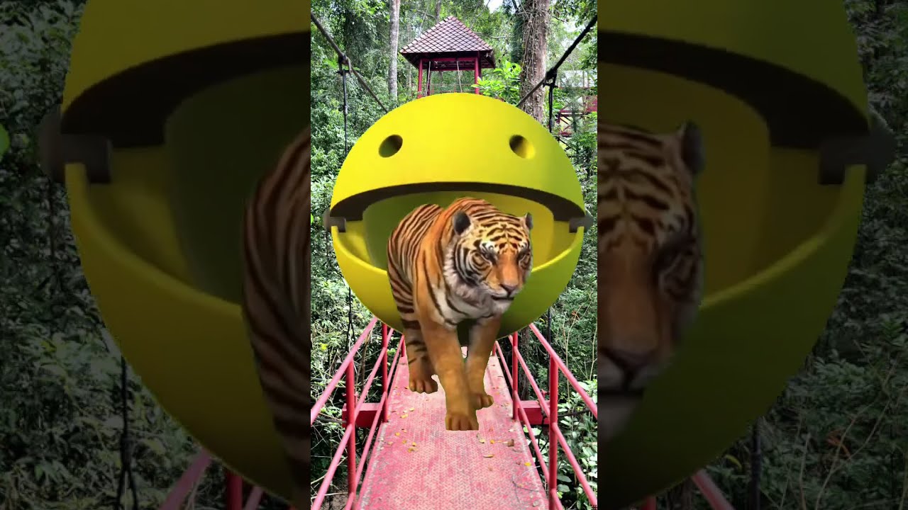 Robot Pacman Giant Game over / Pac-man vs Tiger #shorts #funny #pacman ...