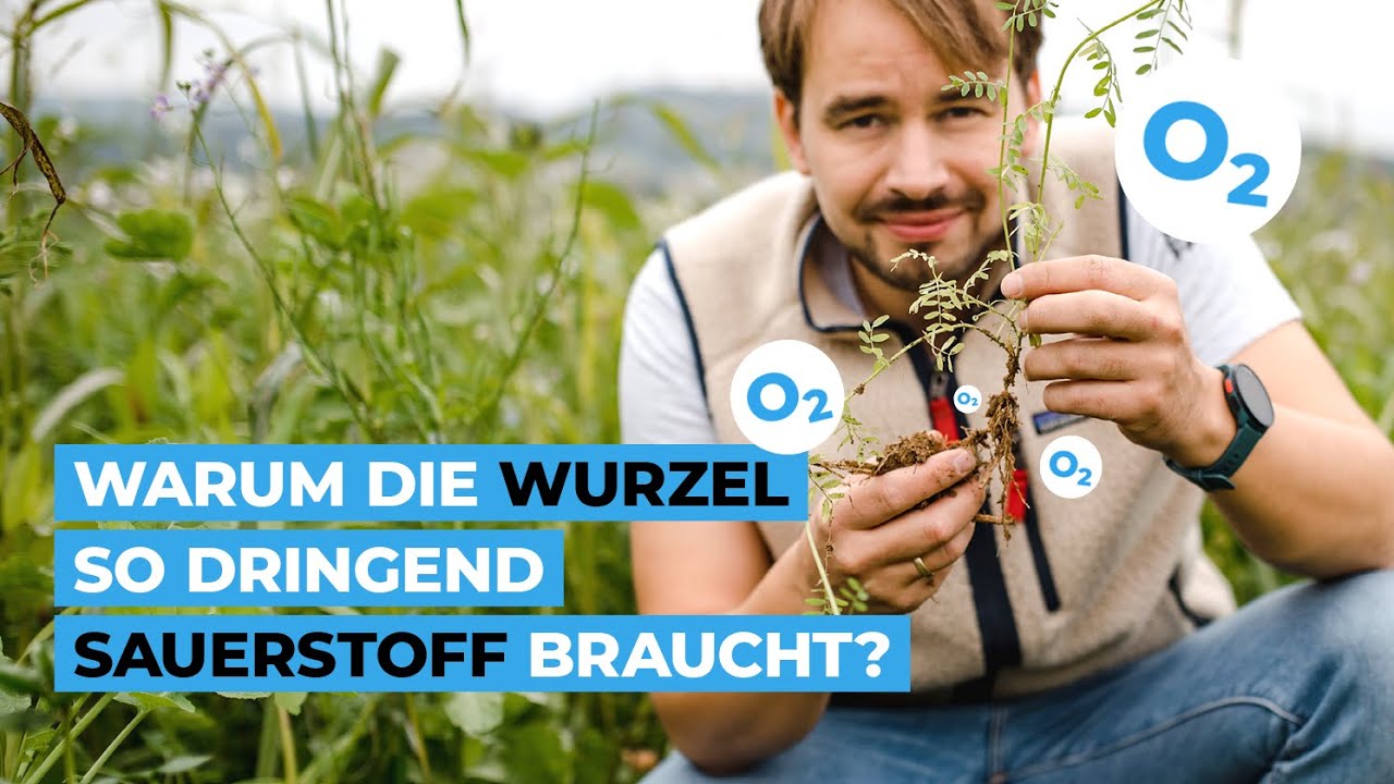 Warum die Wurzel so dringend Sauerstoff braucht? - YouTube