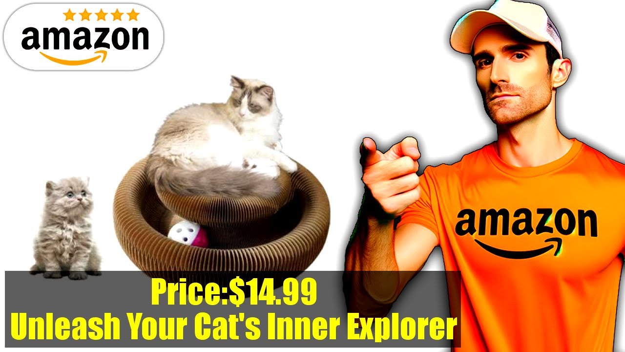 Buy For Cat | Magic Organ Cat Scratcher Board Cat Ball Adventure The ...