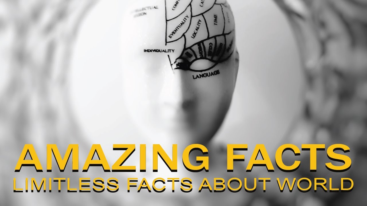 Amazing Facts Information around the world top facts world knowledge of ...