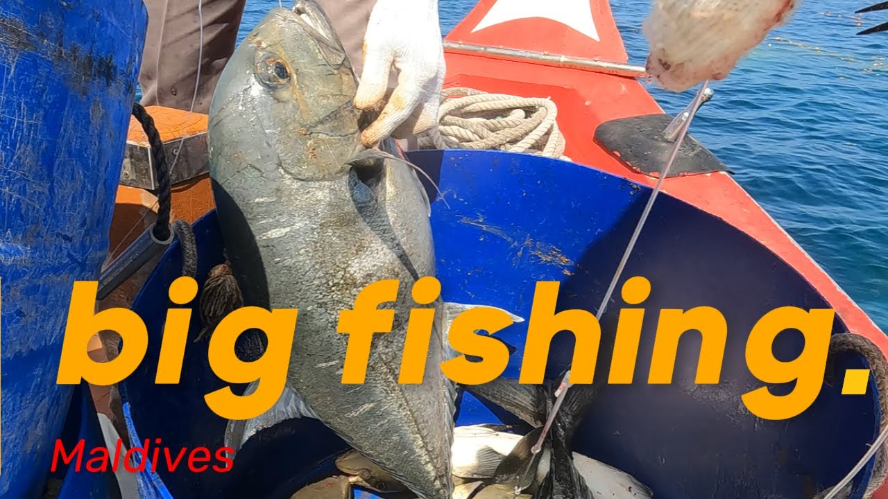 Big game Fish Battles of Line Reef Fishing /The secrets of line fishing ...