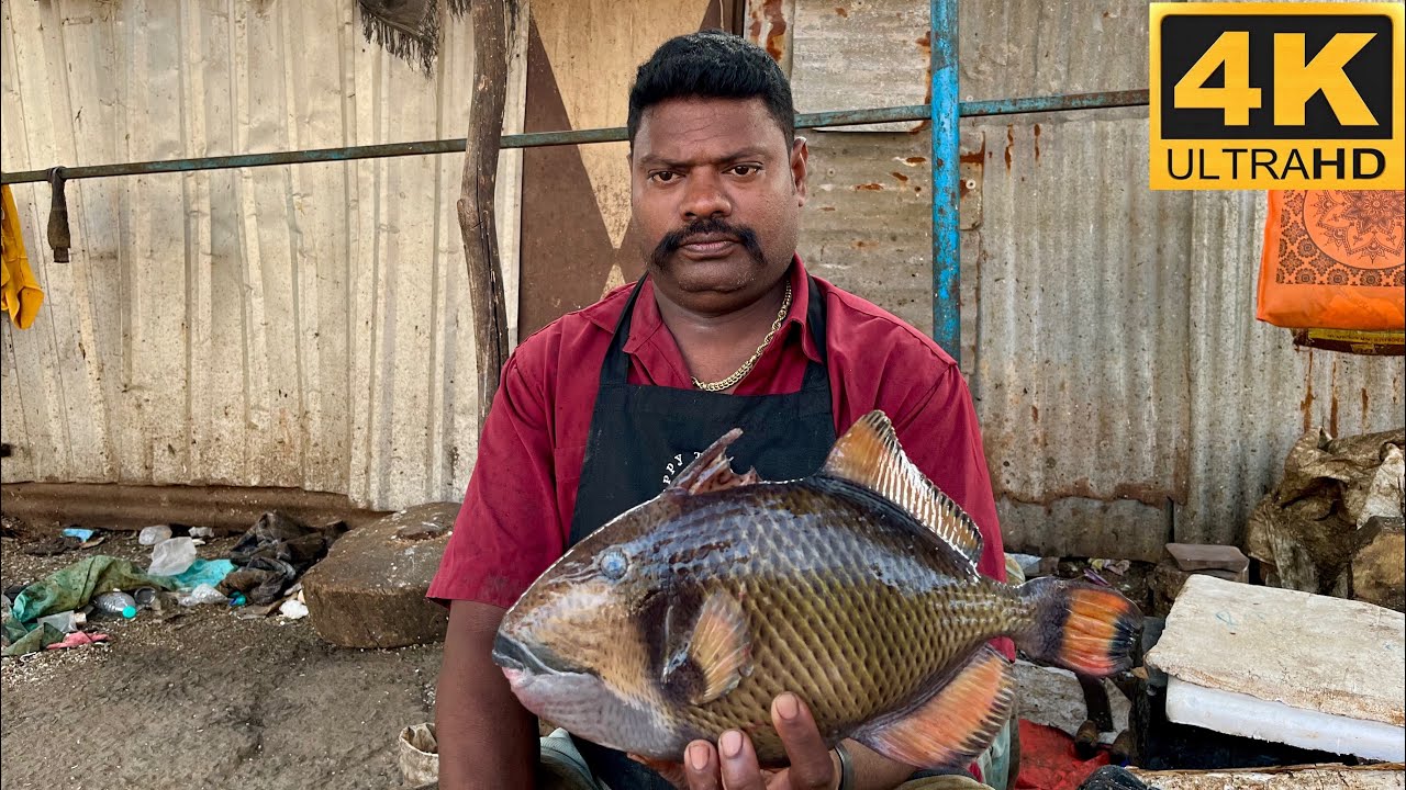 Korava Meen cutting video/Fishcuttingrs #fishcuttingrs #kasimedu #fish ...