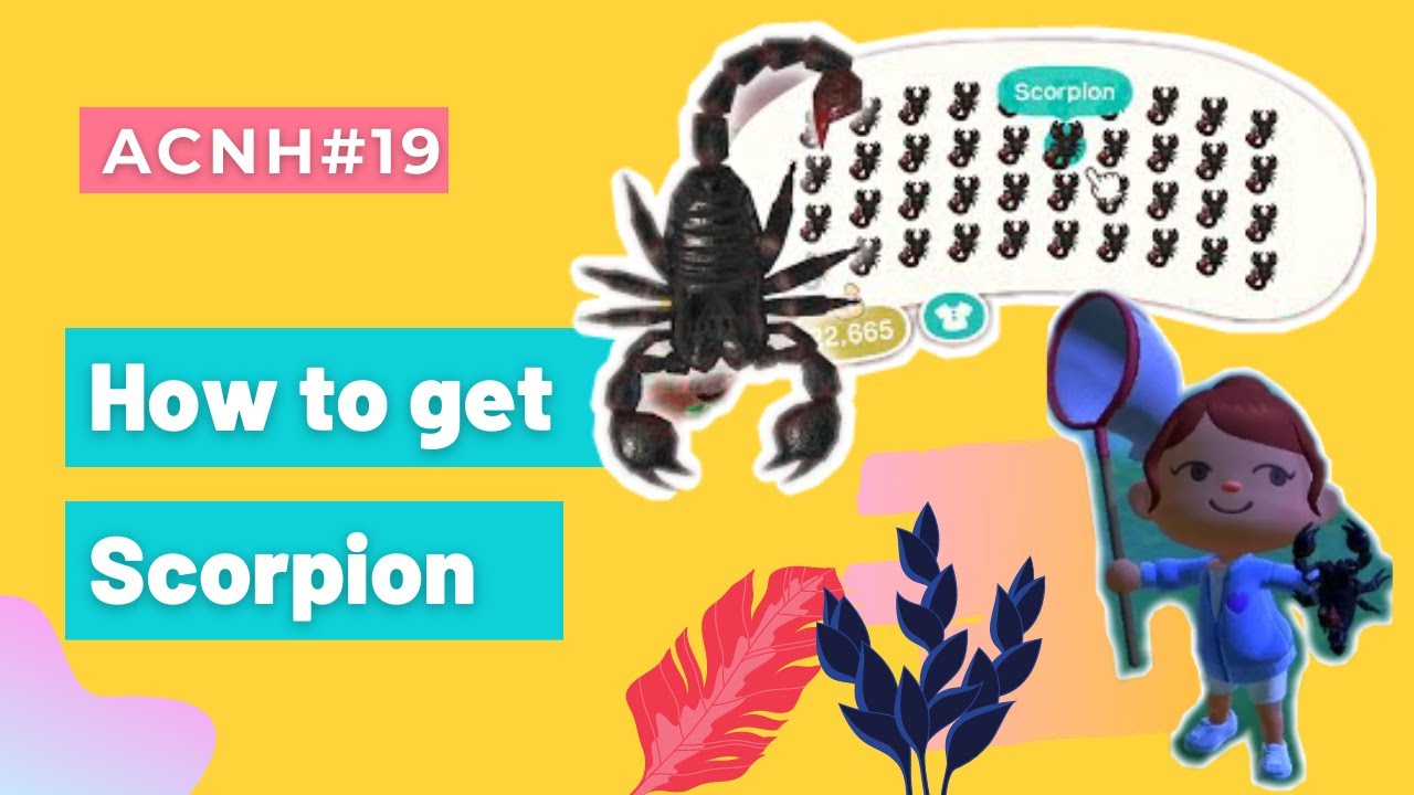 ACNH#19 How to get scorpion - YouTube