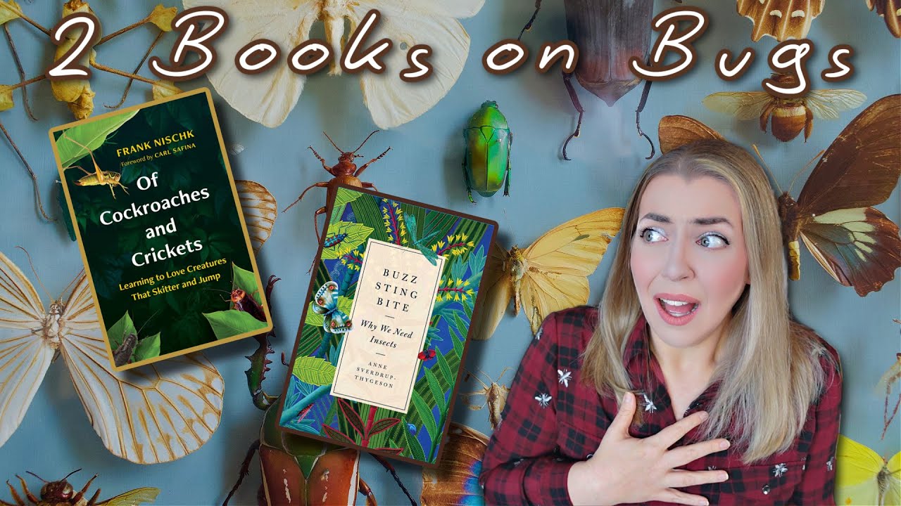 Creepy Crawlies! 🪲🦗🪳 | 2 Books on Bugs | Book Reviews - YouTube