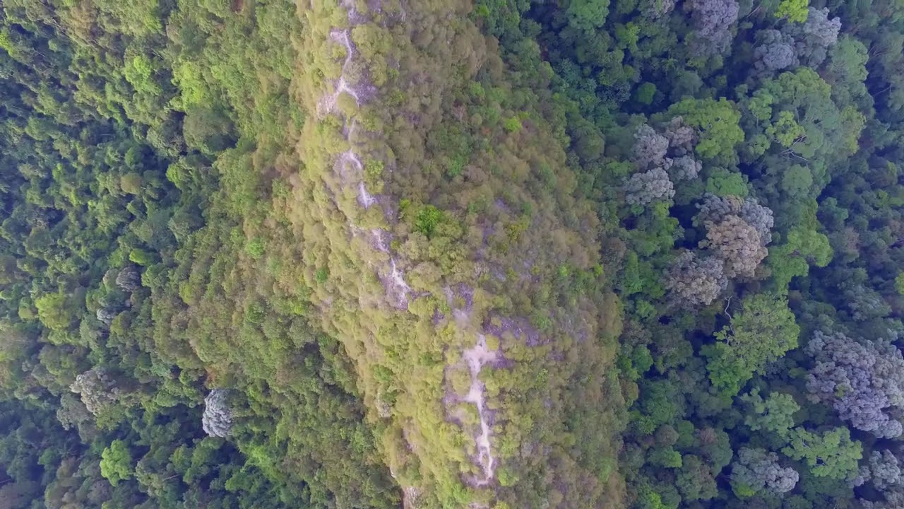 Hiking Gunung Pulut Gerik Perak 2017 - YouTube