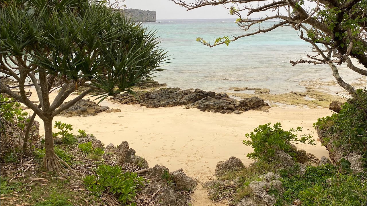 Walk in Manza Beach Area | ANA Intercontinental Hotel Okinawa - YouTube