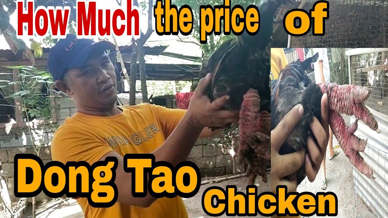 HOW MUCH THE PRICE OF DONG TAO CHICKEN IN THE PHILIPPINES/ THE ...