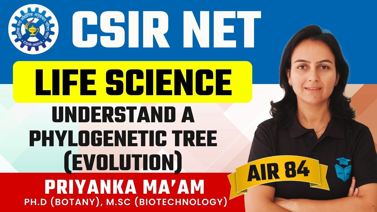 CSIR NET Dec 2023 | CSIR NET Life Science | Understand a Phylogenetic ...