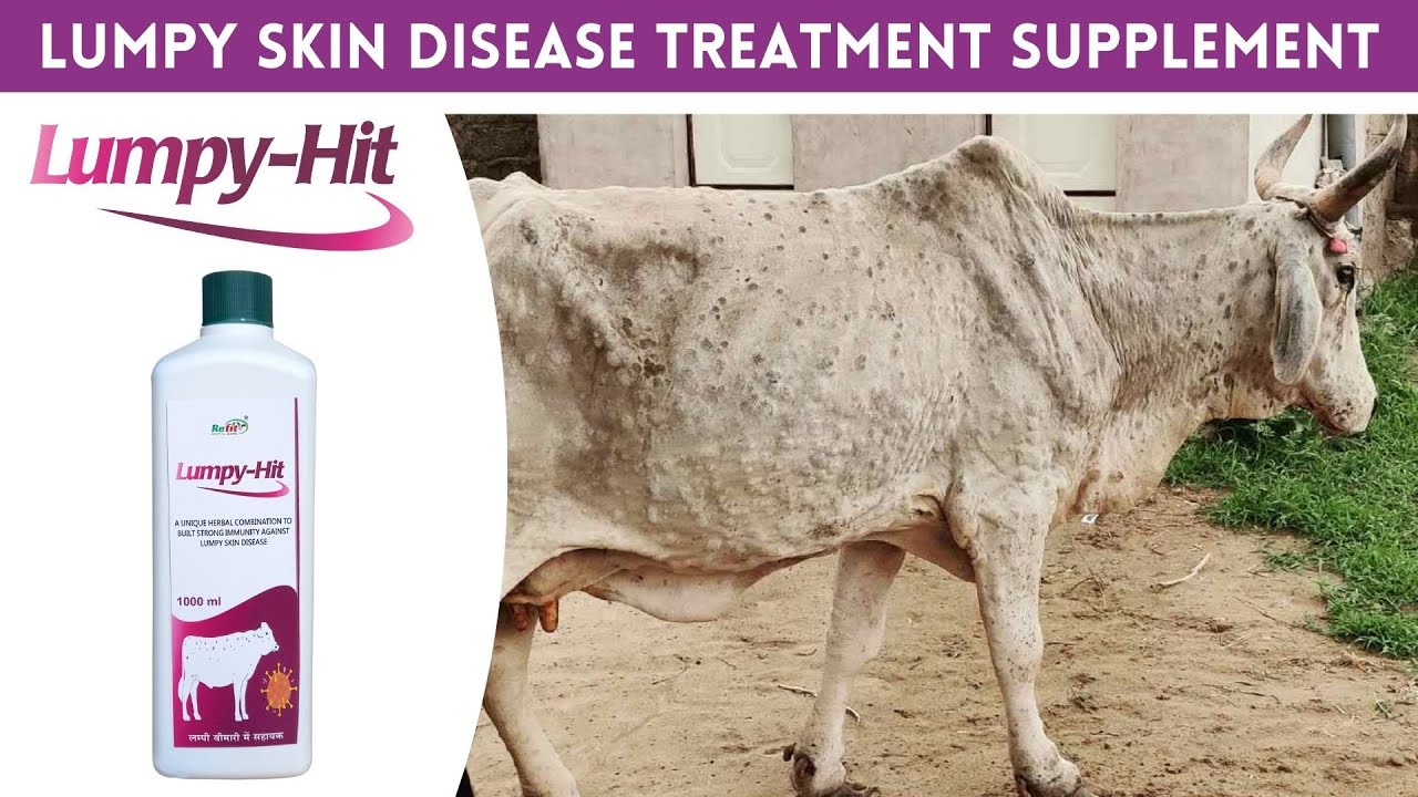 Lumpy-Hit - Lumpy Skin Disease Treatment Supplement For Cow - YouTube