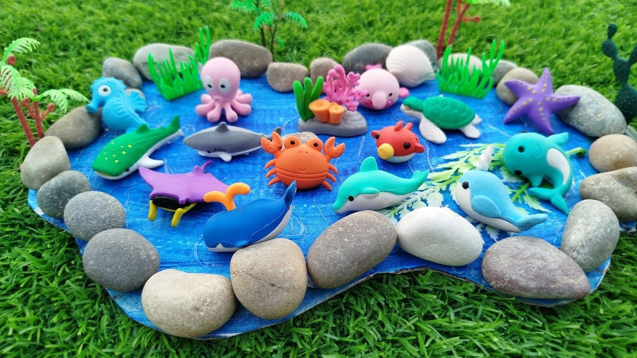 learn ocean animals, Learn Sea Animal Names and Facts, water animals ...