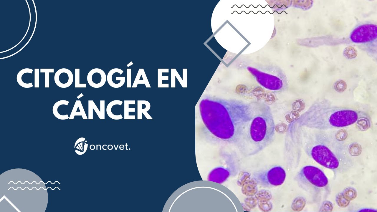 Citología en Cancer de Mascotas - YouTube