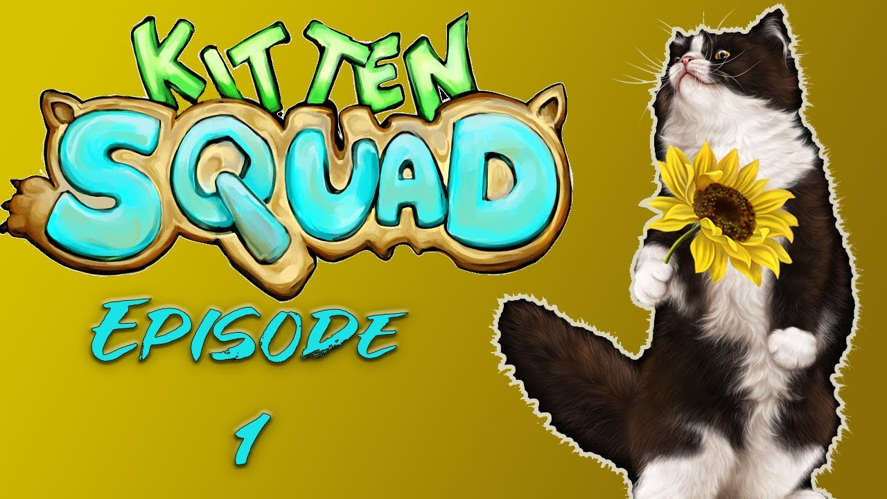 Kitten Squad | Ep 1[Randomness] - YouTube