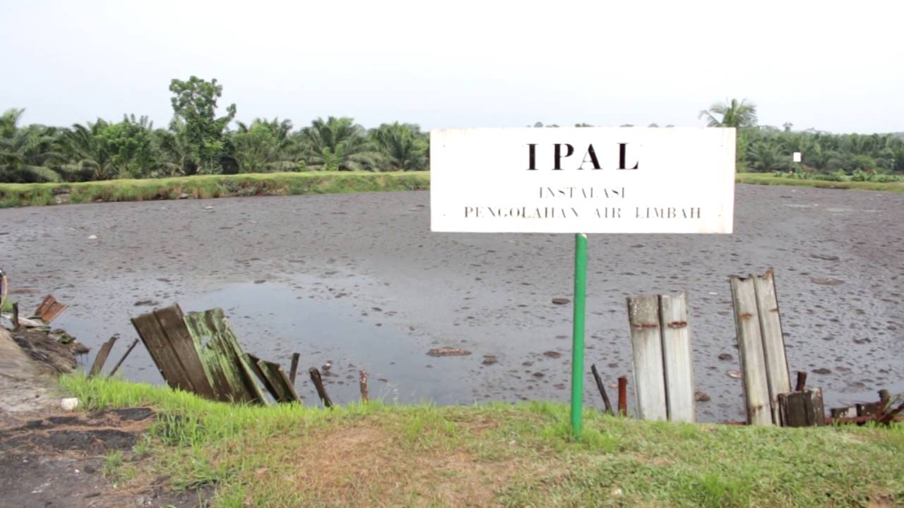 Video Profile PT Perkebunan Nusantara V - YouTube