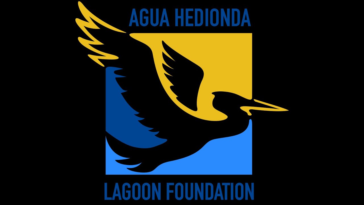 Meet The Agua Hedionda Lagoon Foundation Team - YouTube