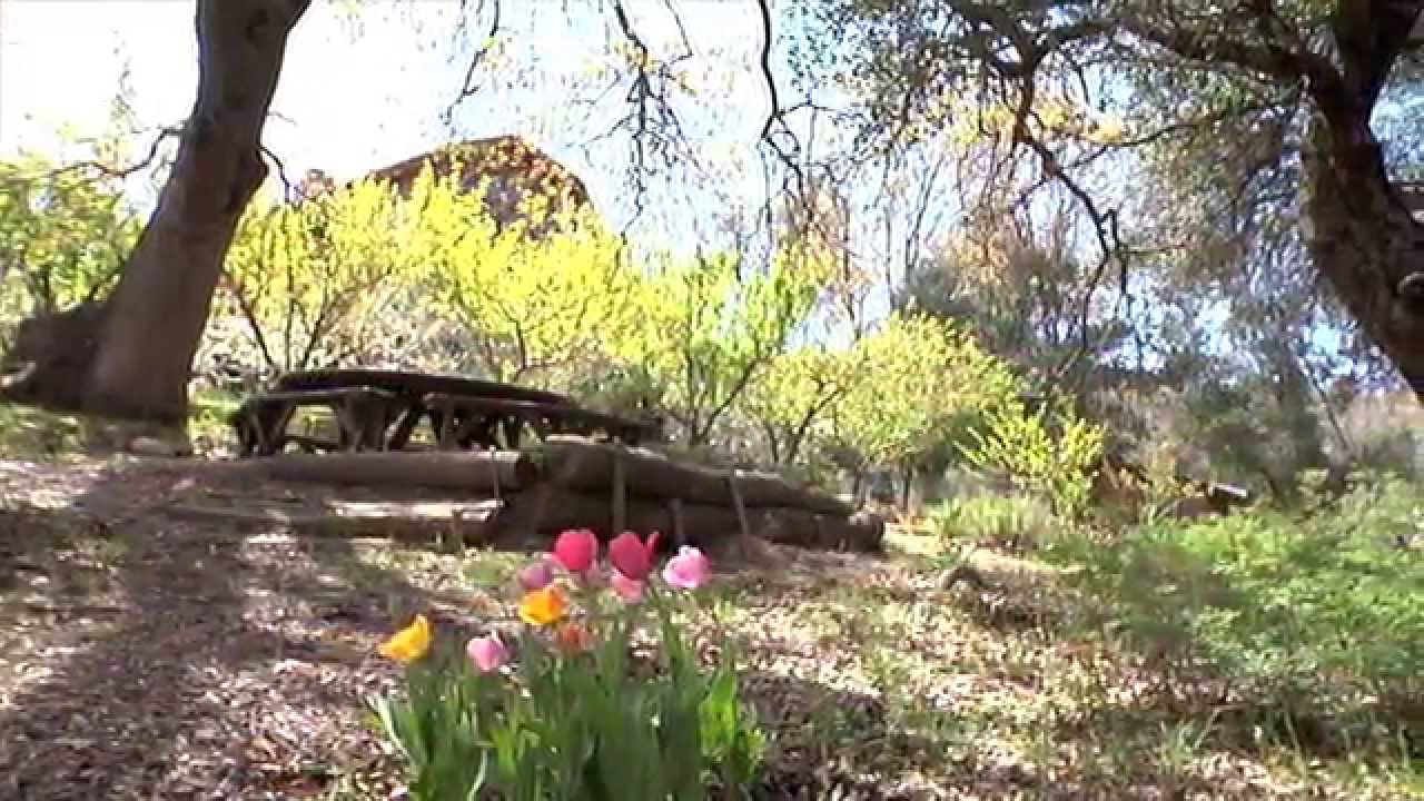 A Peaceful Place Apart: Retreats at Camp Stevens - YouTube