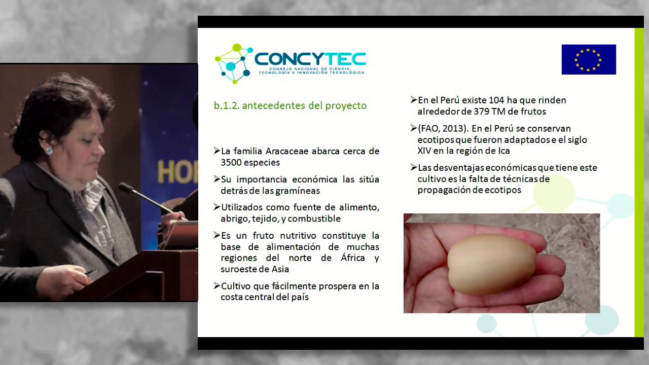 08.Embriogénesis somática - Horizonte 2020: Investigación, desarrollo e ...