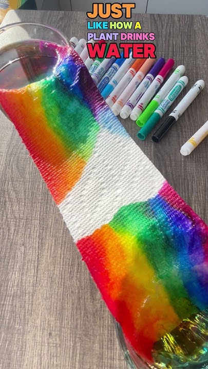 🌈 Walking Water Rainbow Experiment – Fun Science with Miss Daisy! - YouTube