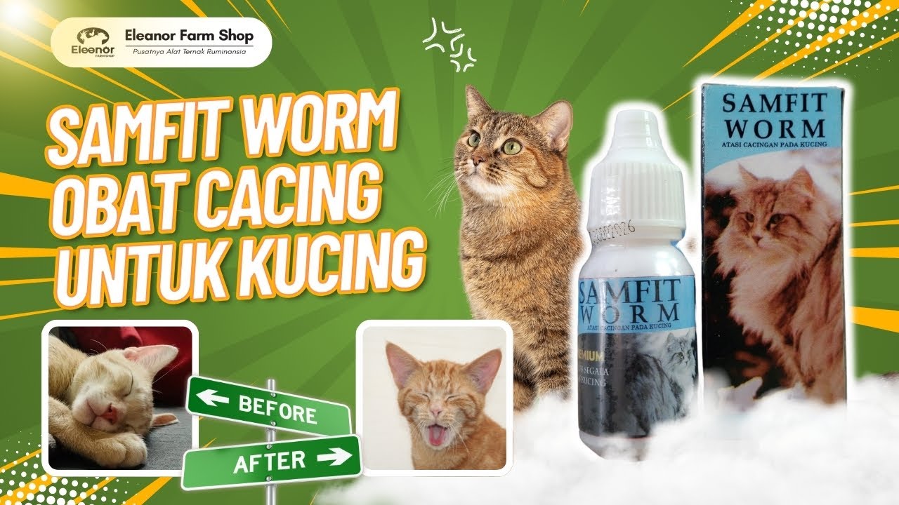 (Program MMM) Mbak Mawar Menjelaskan tentang Produk Samfit Worm dan ...