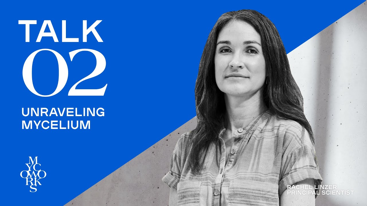 The Unlimited Potential of Fungi, Mushrooms & Mycelium | MycoWorks ...