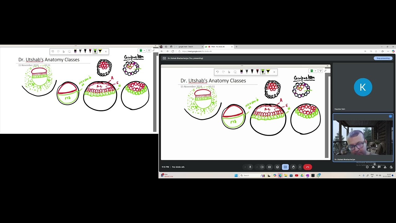 Embryology Simplified: Notochord Formation Explained! - YouTube