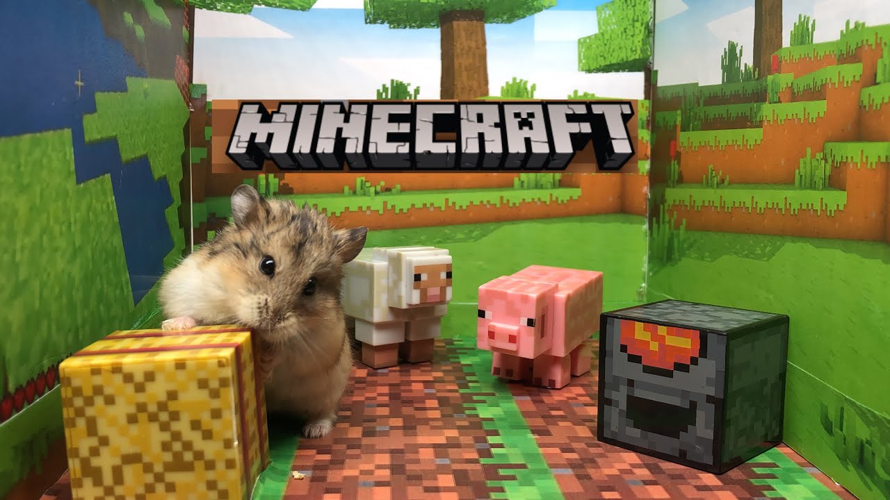Hamster Escapes the Minecraft Maze - YouTube