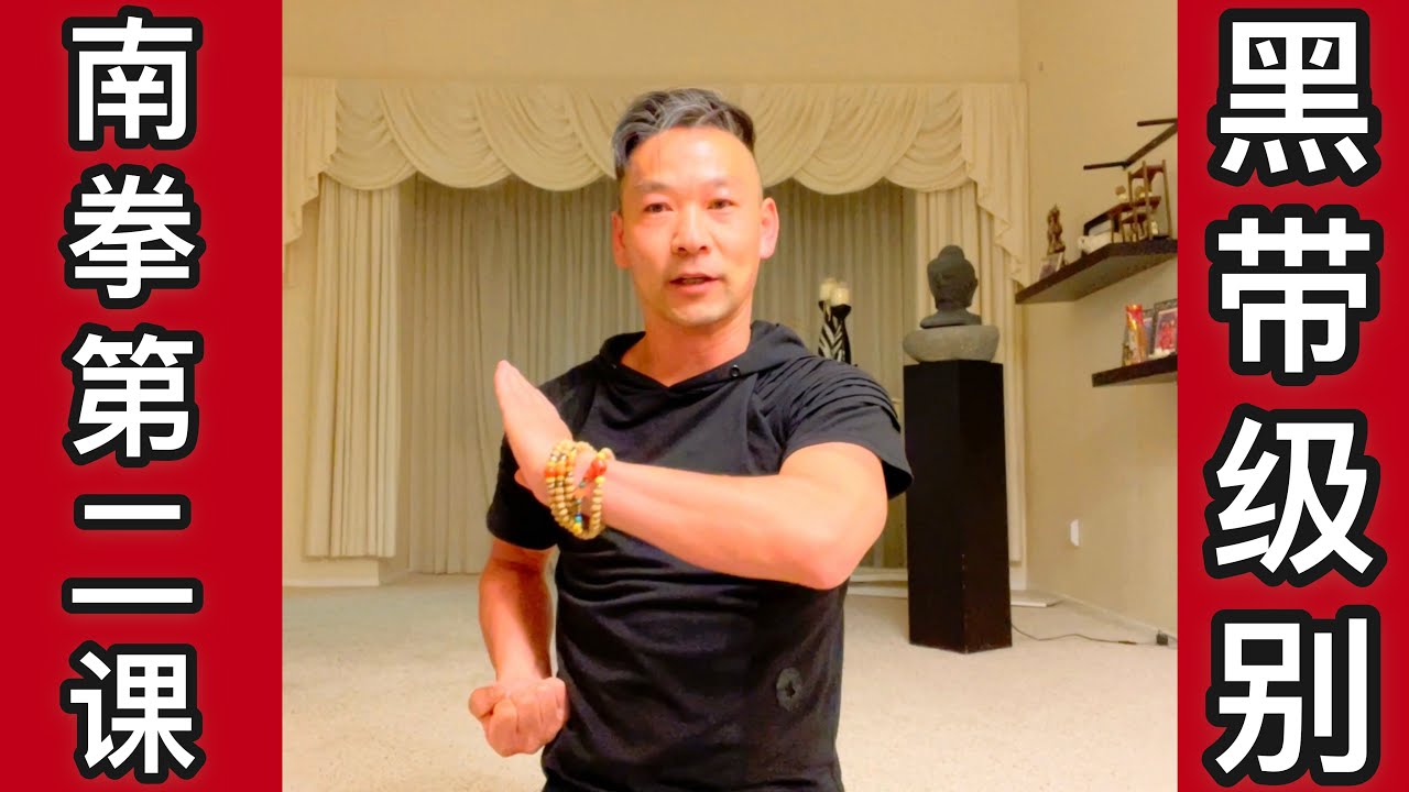 black belt level form leson 2 / nanquan , southern fist , hung gar ...