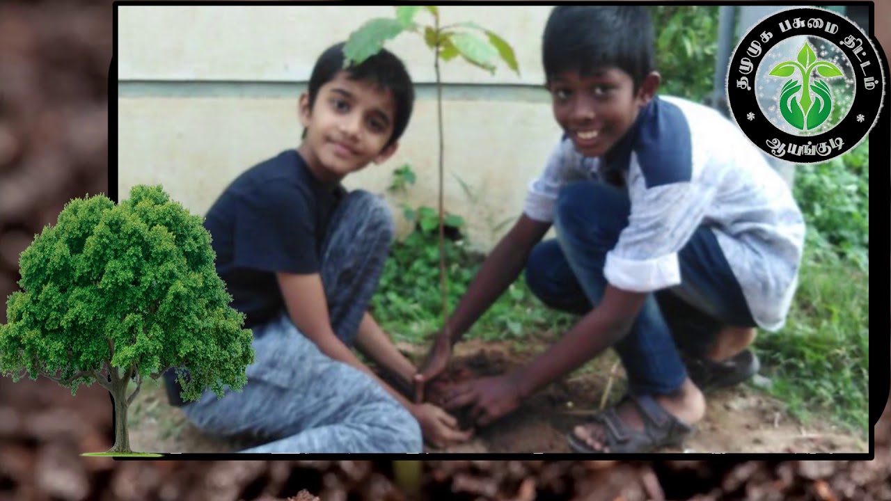ஆயங்குடி தமுமுக பசுமை திட்டம் | Ayangudi TMMK's Green Project - YouTube