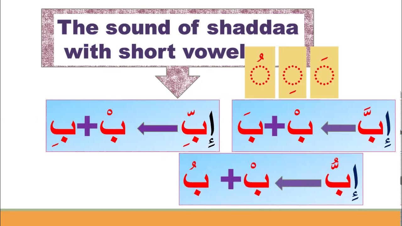 Arabic lesson :Shaddah علامة الشدة Alphabet(Arabic letters) - YouTube