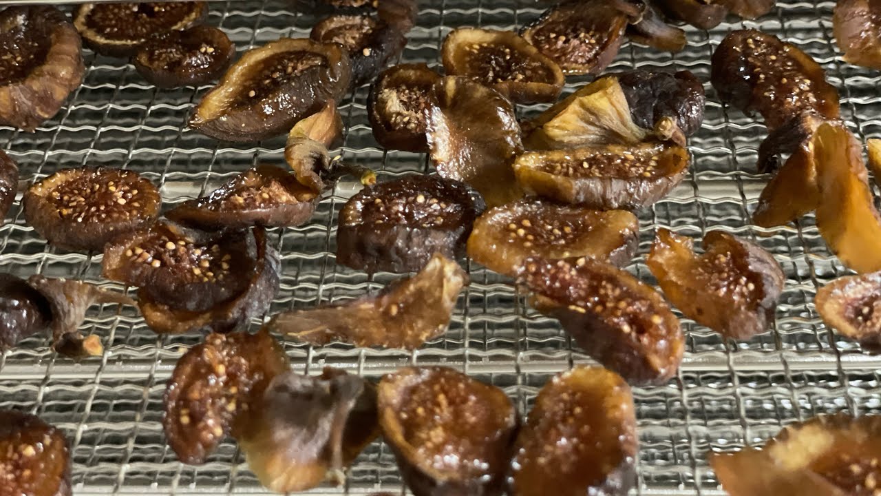 Dehydration experiments with fig and muscadines - YouTube