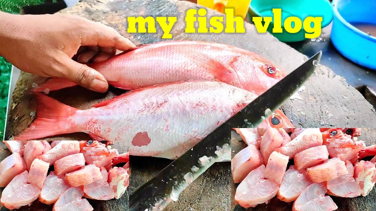 Red Snapper Fish Cutting Skill | Expert Fish Cutter In India |my fish ...