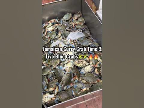 Jamaican Curry Crab Time!!!Live Blue Crabs🇯🇲🇯🇲🔥🔥🔥#shorts #jamaicanfood#spicy#currycrabs# ...