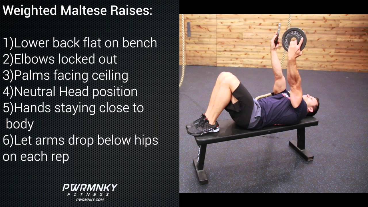 MONKEY METHOD Weighted Maltese Raises: - YouTube