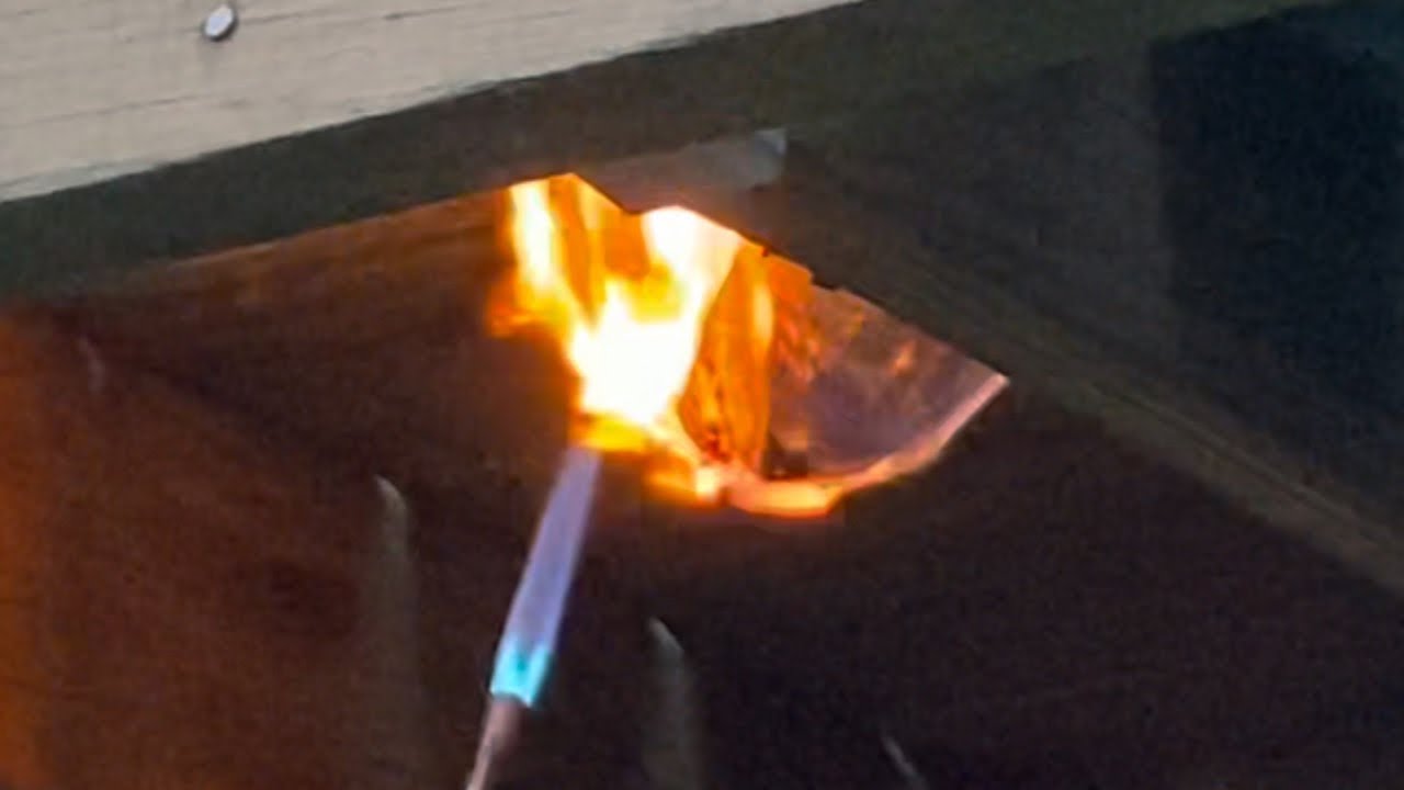 BURNING Yellow Jackets!! - YouTube