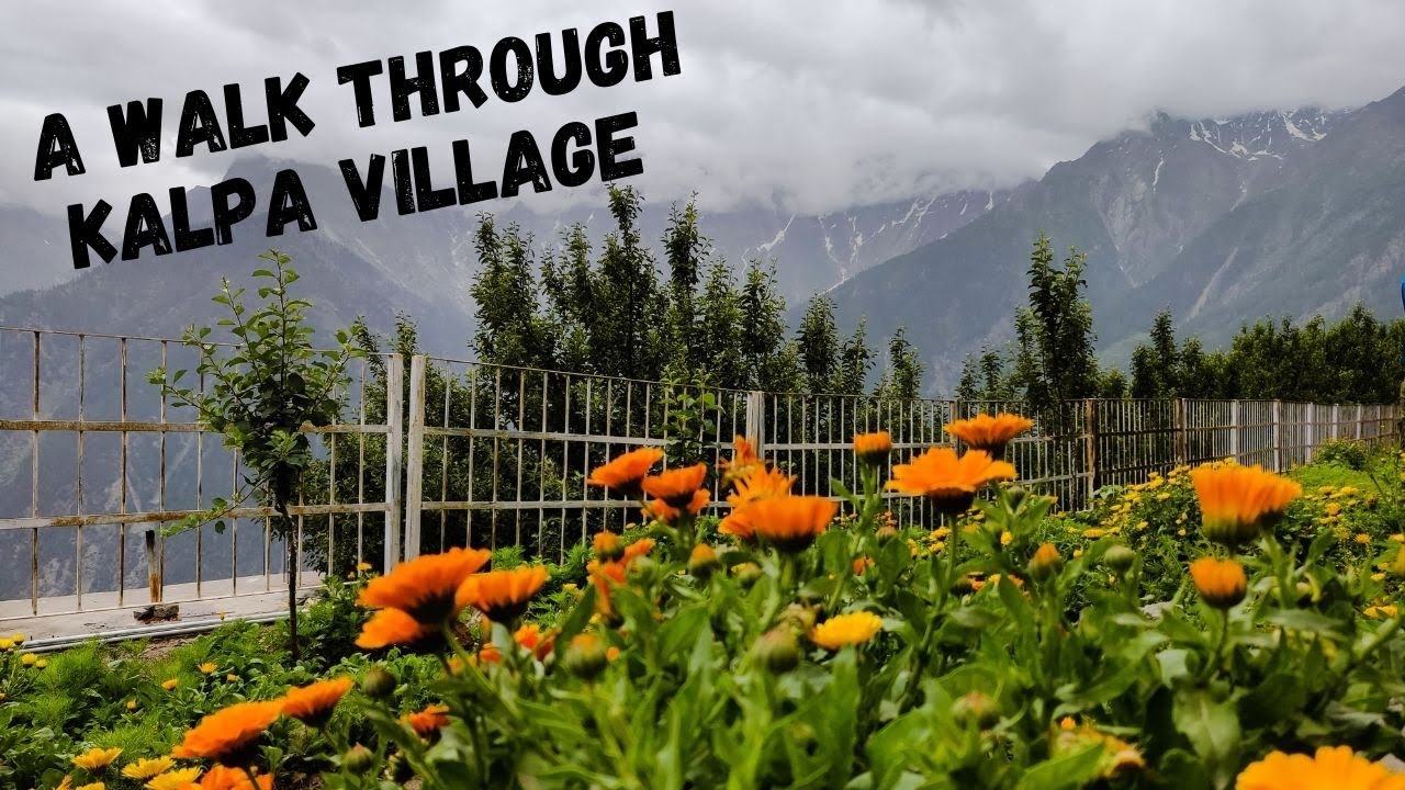 A walk through Kalpa Village - Visiting Kalpa Monastery & Fort ...