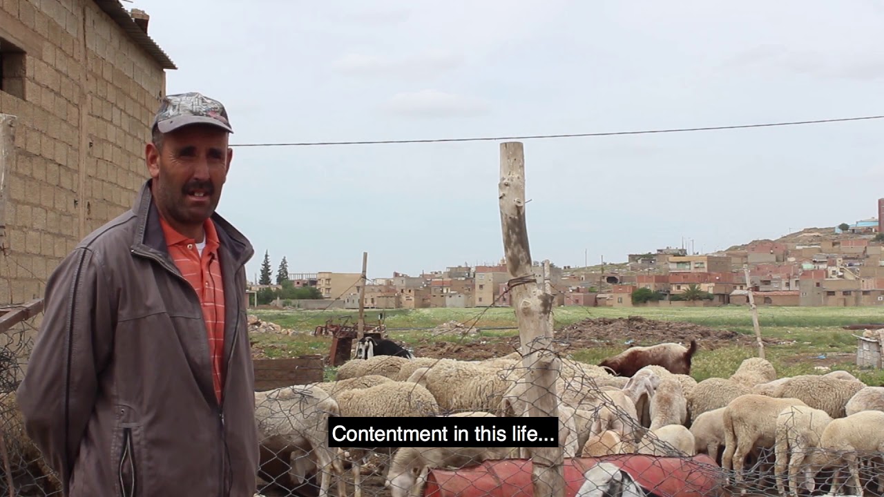 Algerian Sheepherders Face Climate Change - YouTube
