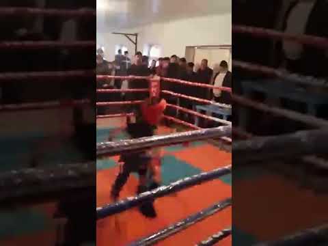 Berde PIRNS Kick Bokus UĞUR