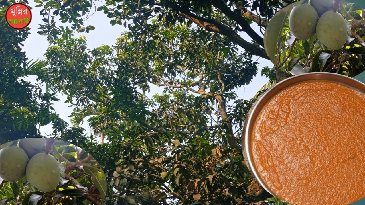 AAM ER AAMSHOTTO BENGALI STYLE RECIPE - YouTube