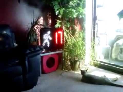 Traffic light signal collection - YouTube