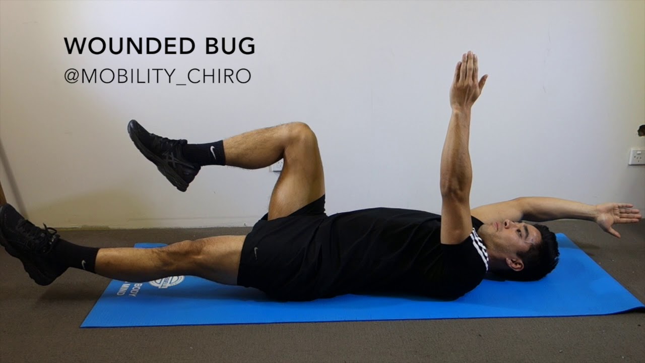 Wounded Bug - YouTube